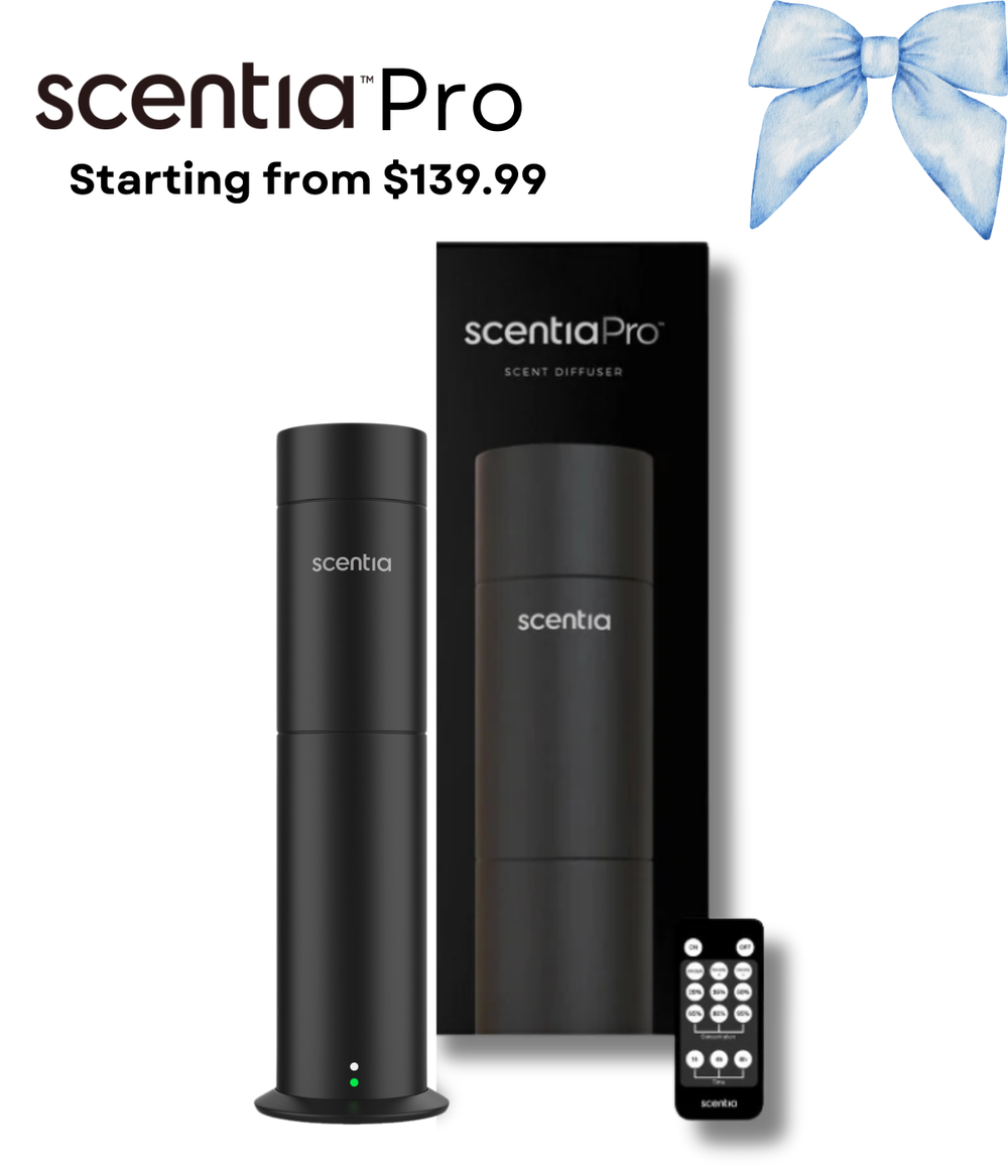 Scentia: Shop the Best Diffusers and Essential Oils