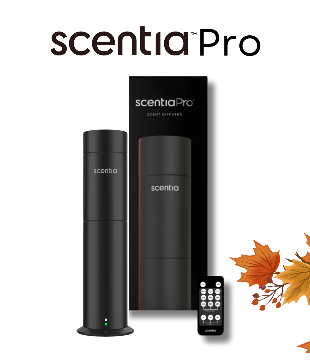 Scentia: Shop the Best Diffusers and Essential Oils