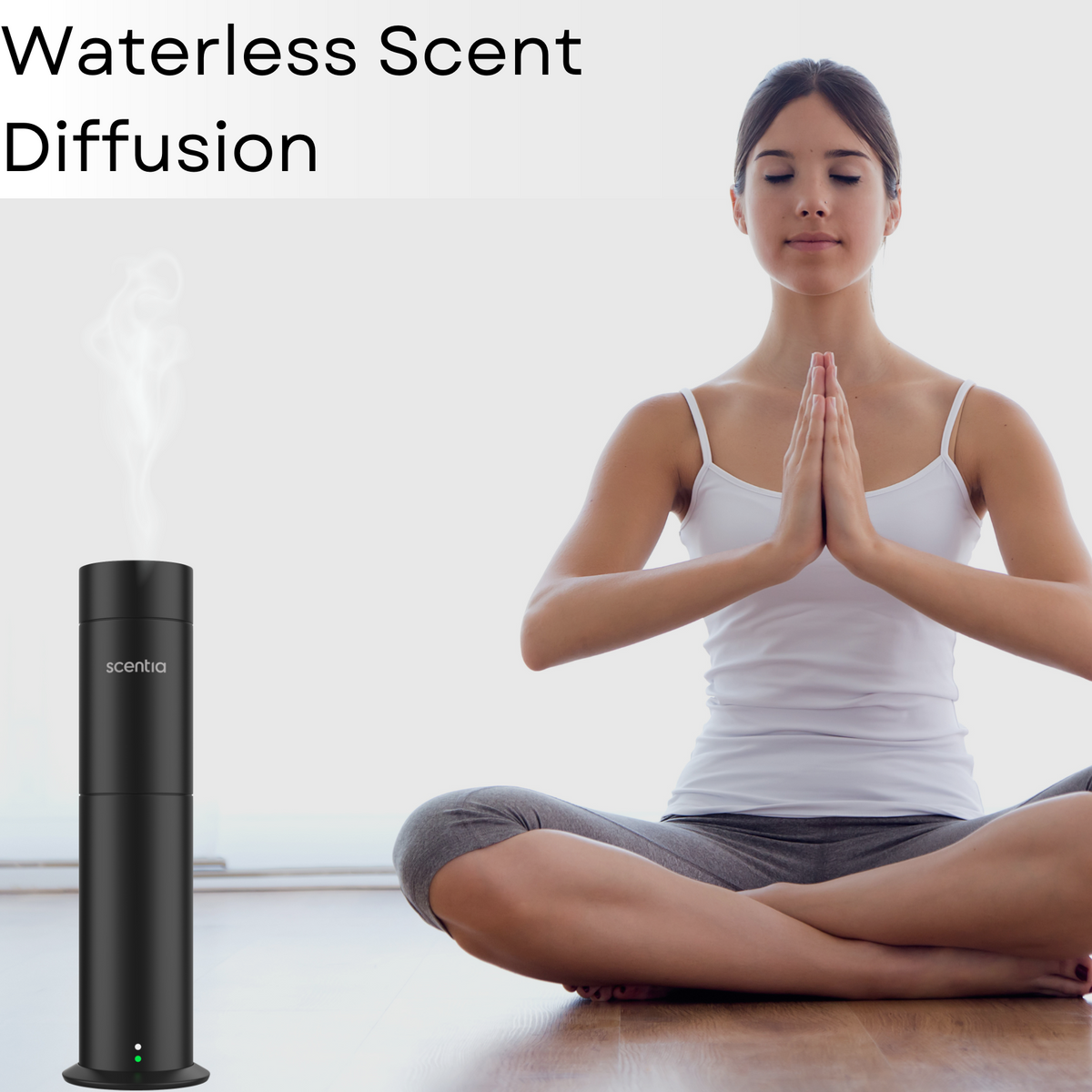 Buy ScentiaPro Scent Diffuser Diffusers Black Online at low price. By ...