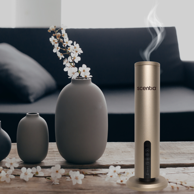 Buy ScentiaPro Scent Diffuser Diffusers Black Online at low price. By ...