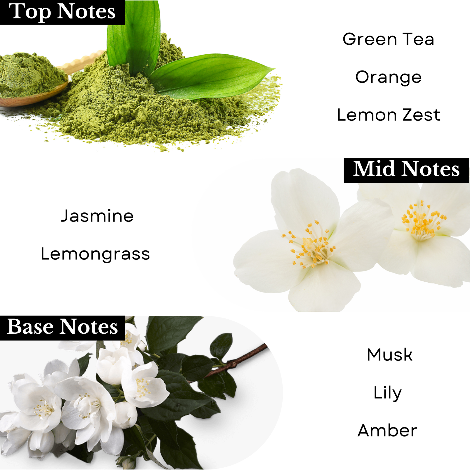 California Breeze Diffuser Oil | Inspired by Delano Hotel – Scentia USA