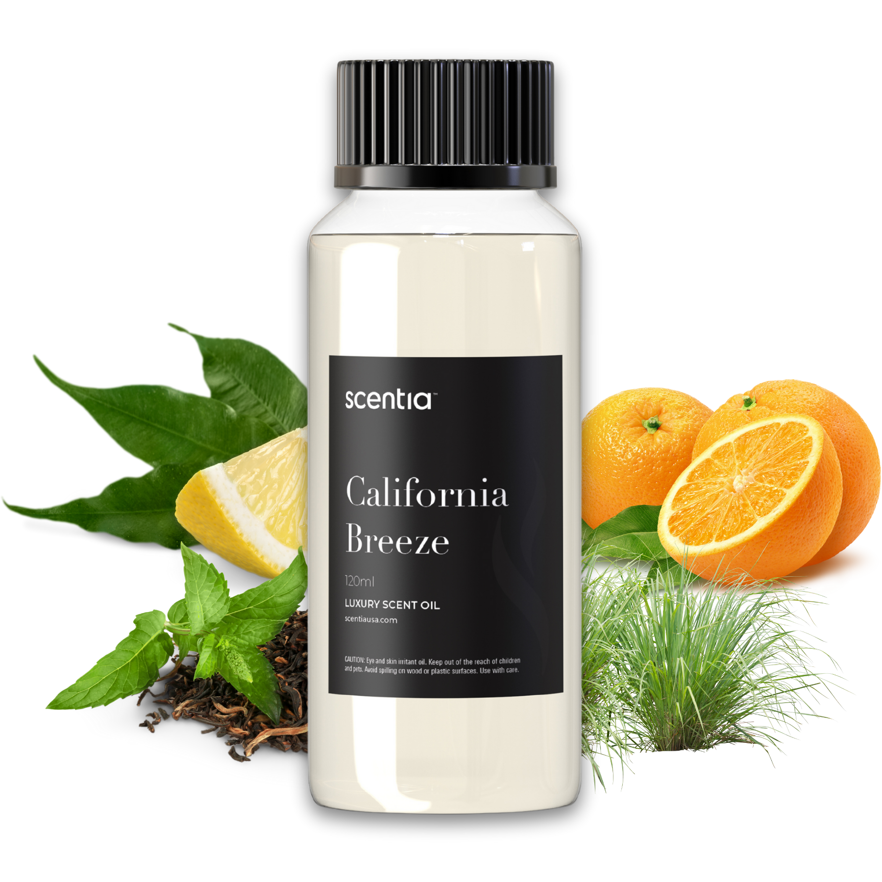 California Breeze Diffuser Oil | Inspired by Delano Hotel – Scentia USA