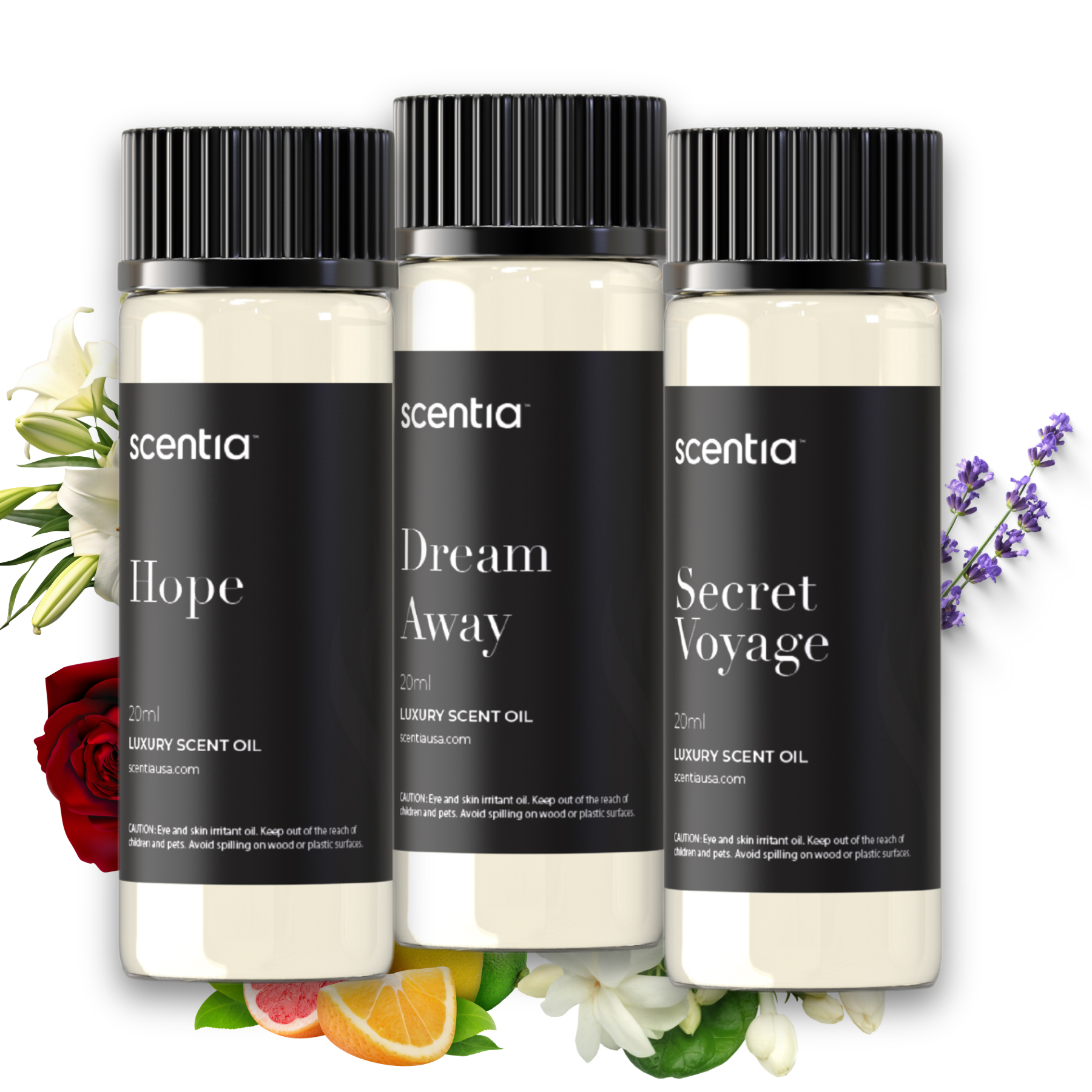Buy Hotel Collection Scent Oil Sample Kit Oils 20ML Online at low price ...