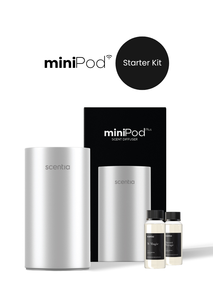 Scentia: Shop the Best Diffusers and Essential Oils