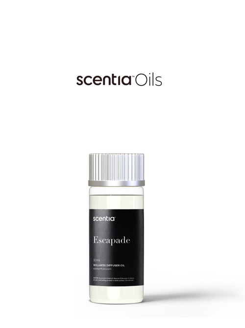 Scentia: Shop the Best Diffusers and Essential Oils