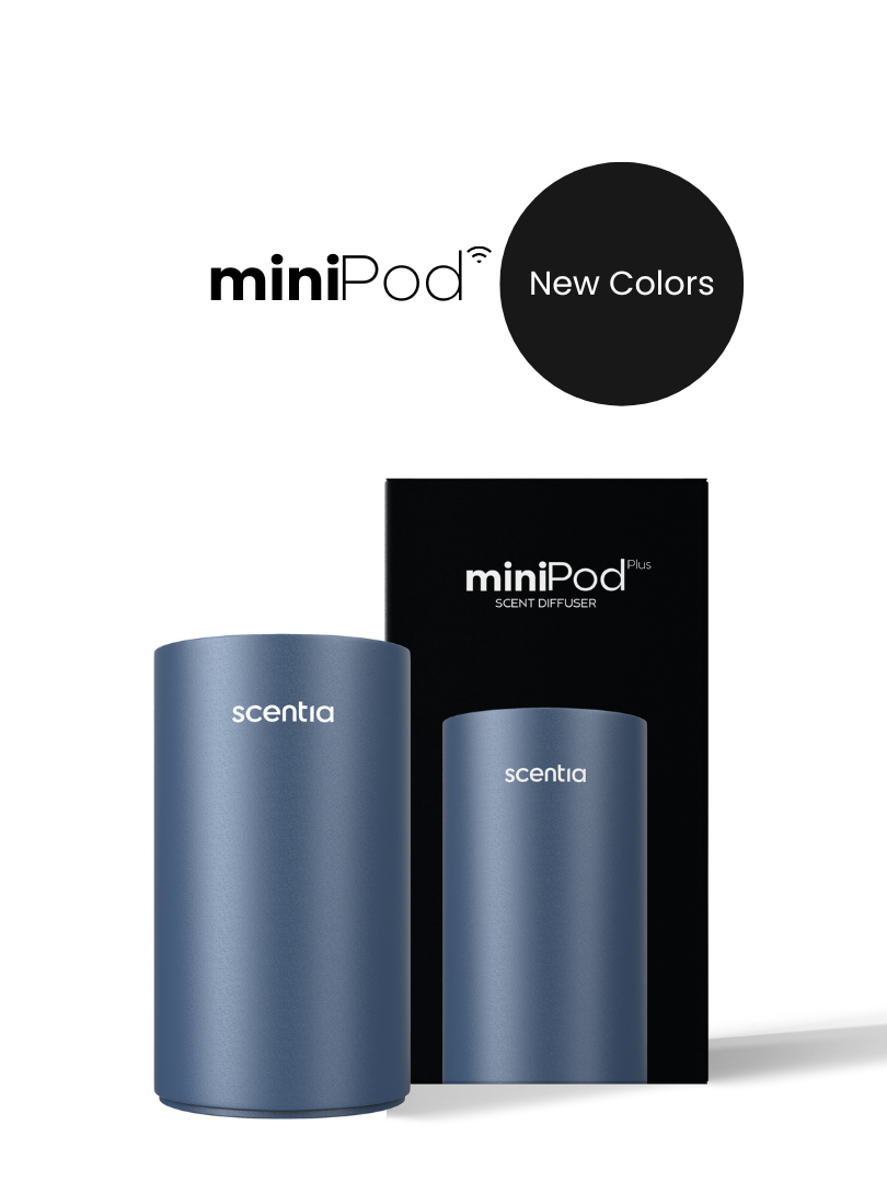 Scentia: Shop the Best Diffusers and Essential Oils