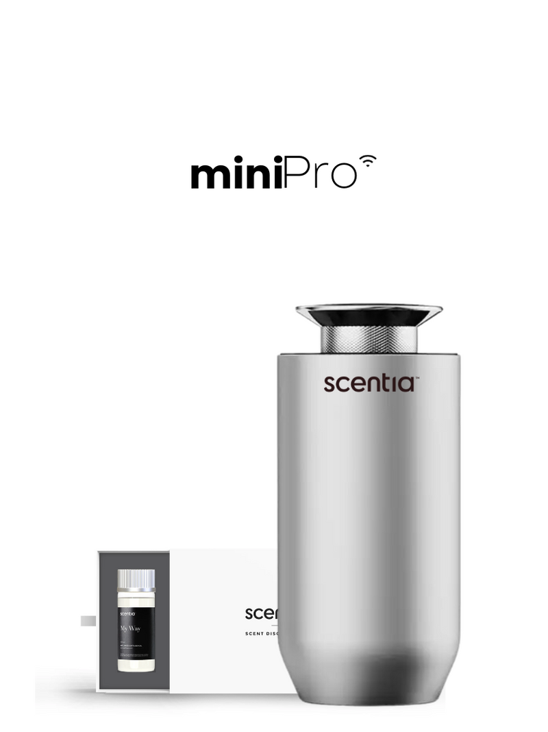 Scentia: Shop the Best Diffusers and Essential Oils