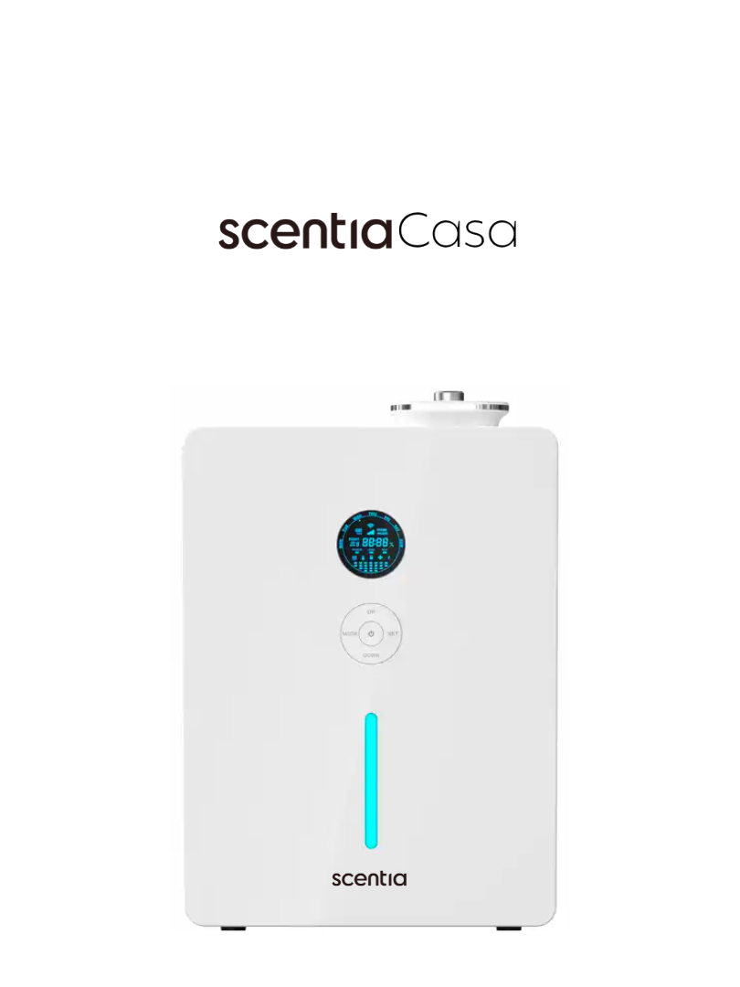 Scentia: Shop the Best Diffusers and Essential Oils