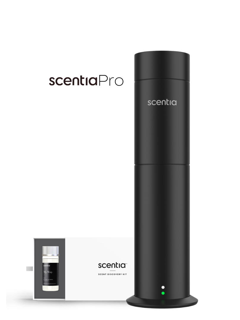 Scentia: Shop the Best Diffusers and Essential Oils