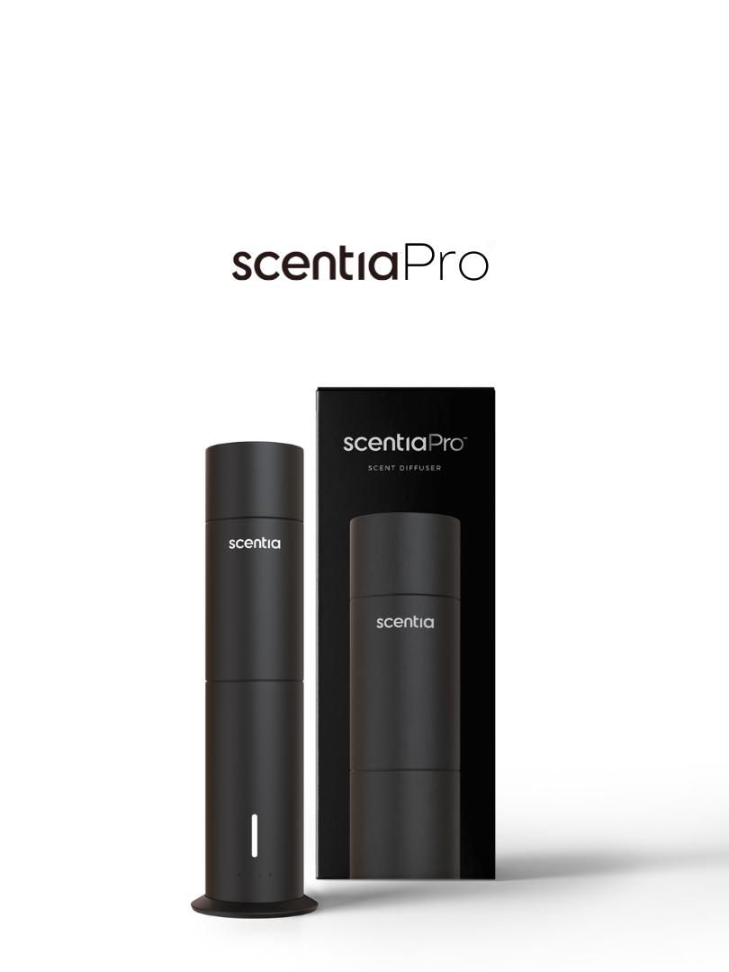 Scentia: Shop the Best Diffusers and Essential Oils