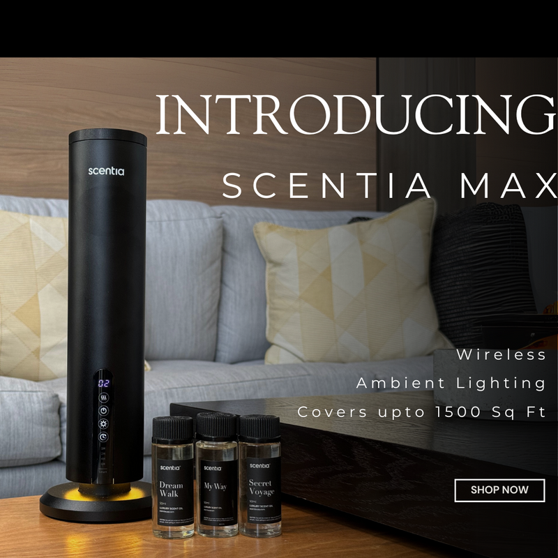 Luxury Hotel Scents & Diffusers | Signature 5-Star Fragrances