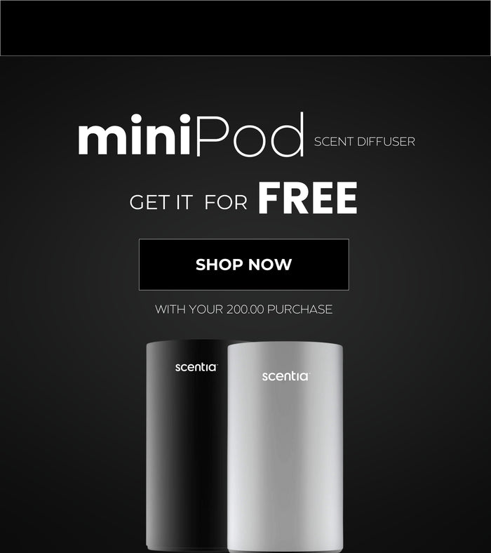 Scentia: Shop the Best Diffusers and Essential Oils