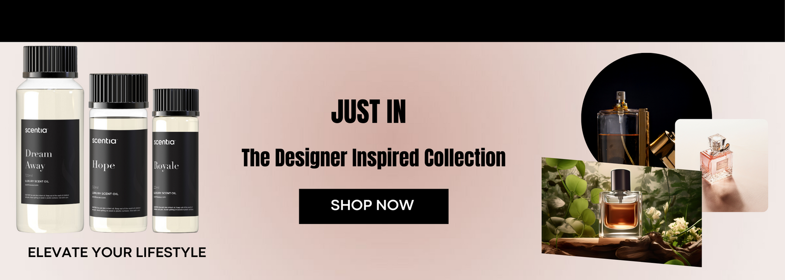 Scentia: Shop the Best Diffusers and Essential Oils