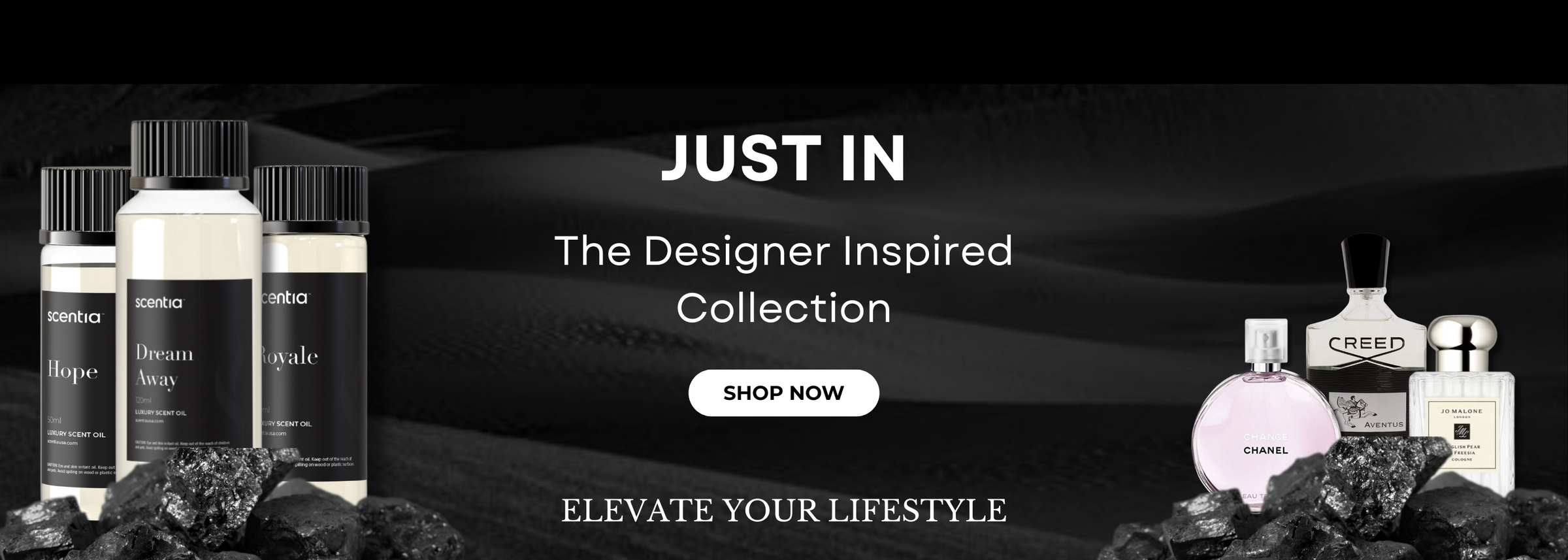 Scentia: Shop the Best Diffusers and Essential Oils