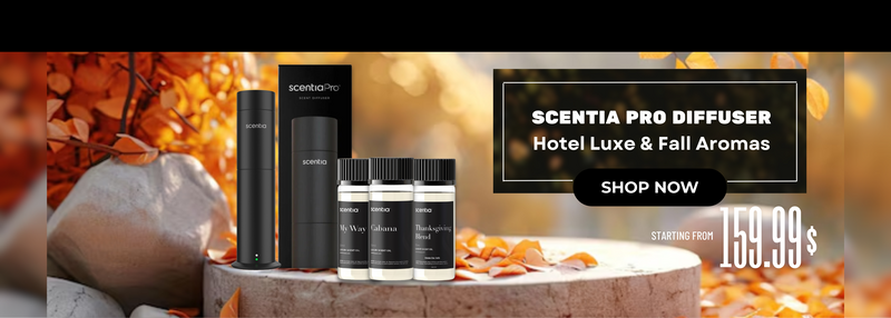Scentia: Shop the Best Diffusers and Essential Oils