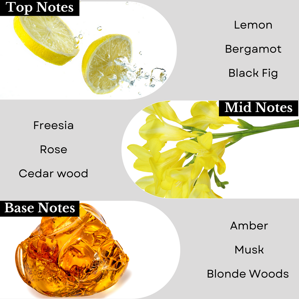 Buy Noir Mystique Diffuser Oil Oils 20ML Online at low price. By ...