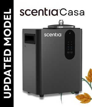Scentia: Shop the Best Diffusers and Essential Oils