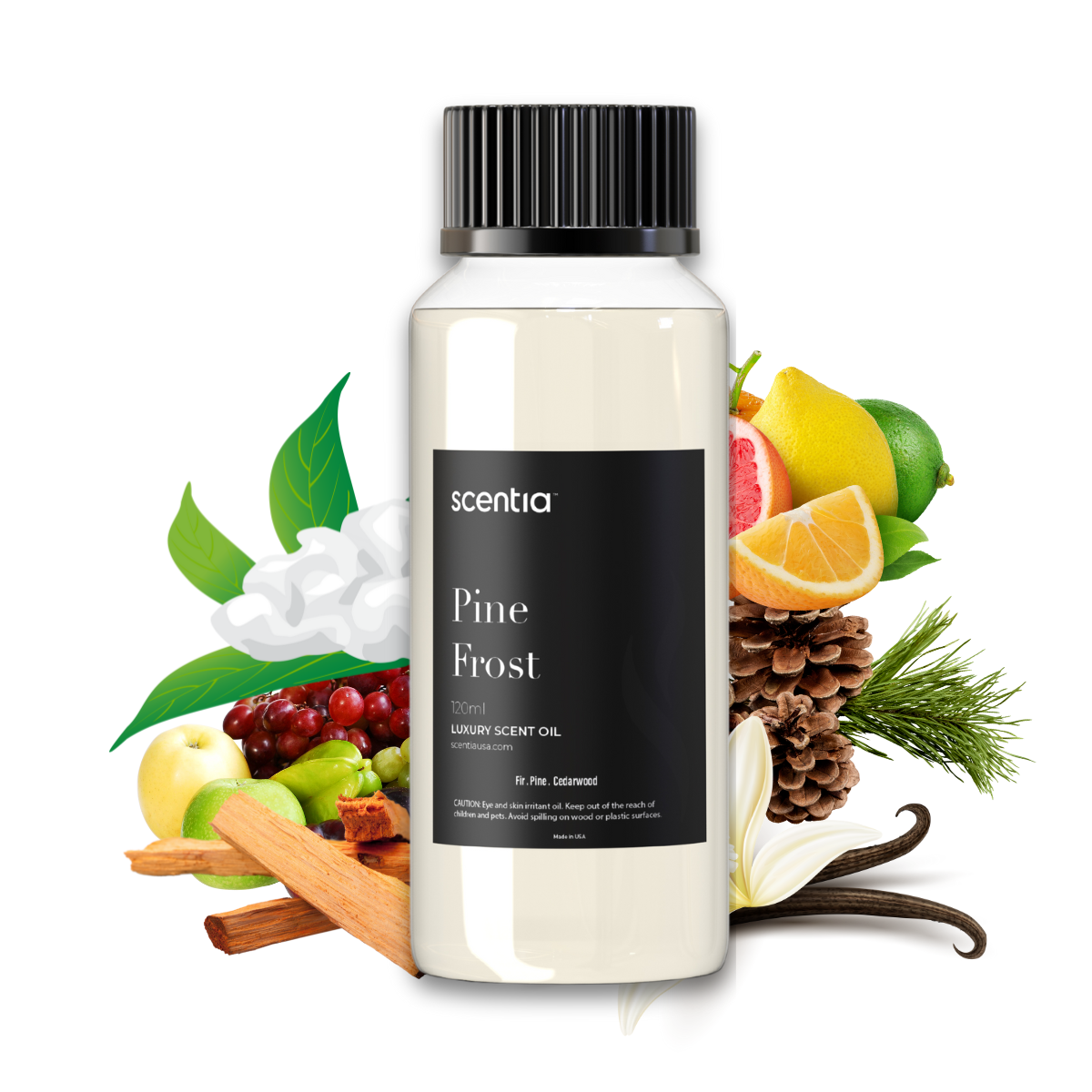 PineFrost Fragrance Oil | Fresh Evergreen Scent – Scentia USA